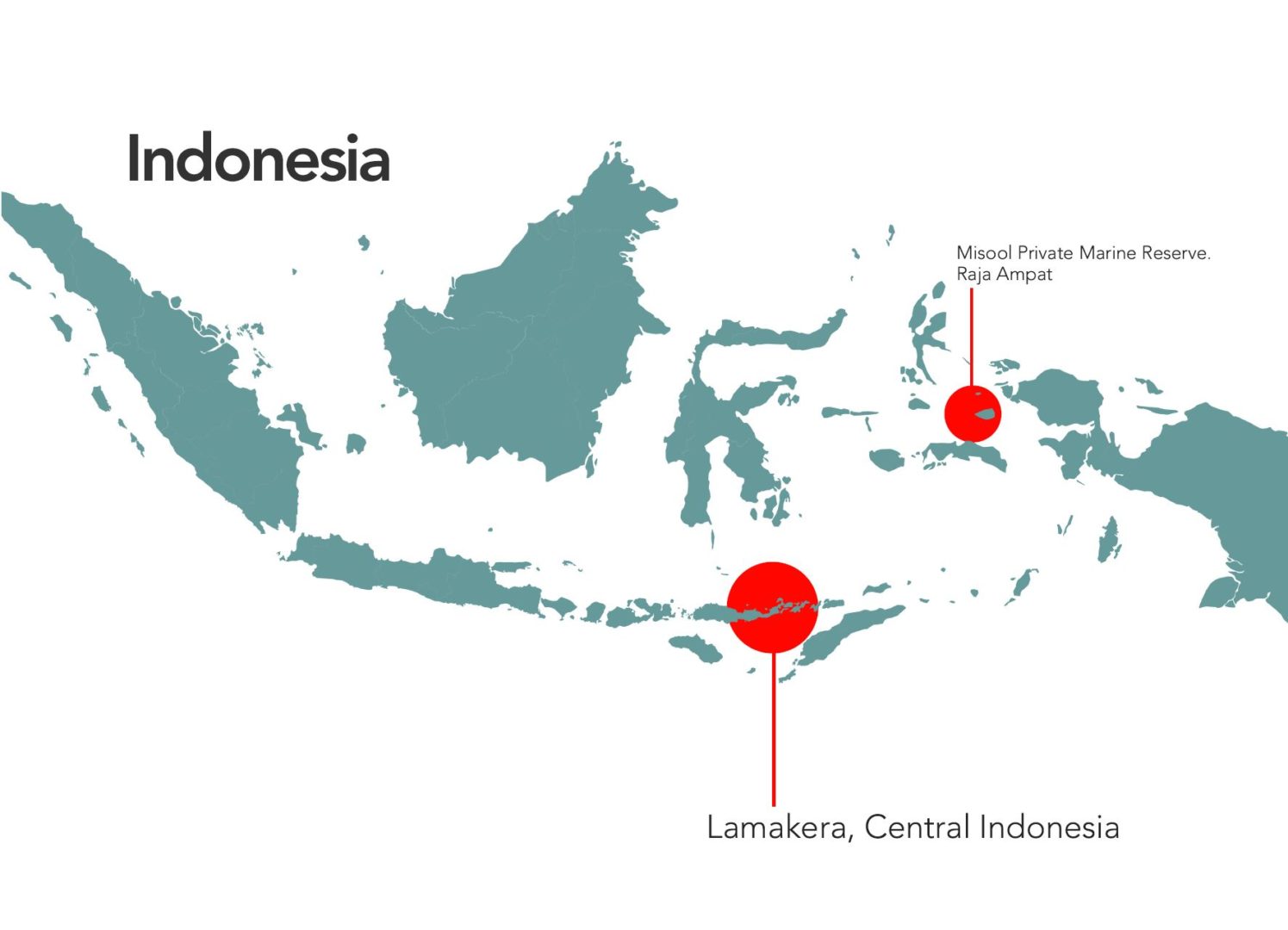 An Update on Lamakera - OPS Productions