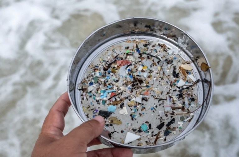 Microplastics: Pervasive Pollution and Their Impact on Human Health ...