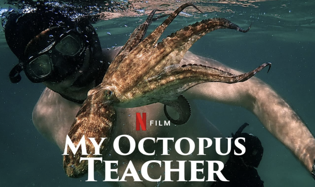 20 Documentaries That Will Change the Way You See the World - OPS ...