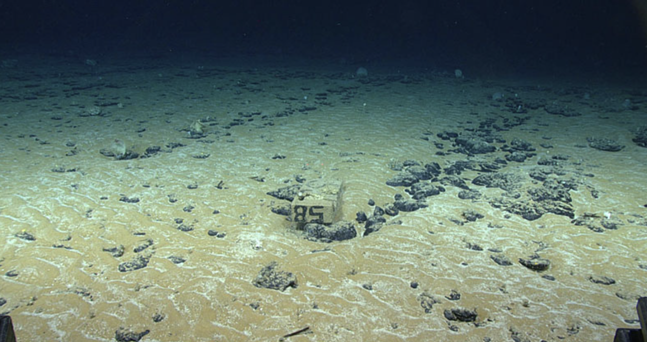 The Blake Plateau: 50 Years Later, The Ocean Still Remembers - OPS ...